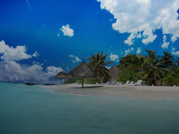 Ocean Rental Packages – Adventures Under Da Sea