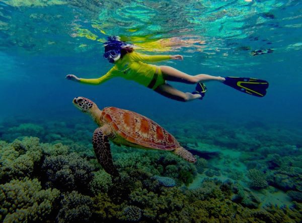 Ocean Rental Packages – Adventures Under Da Sea
